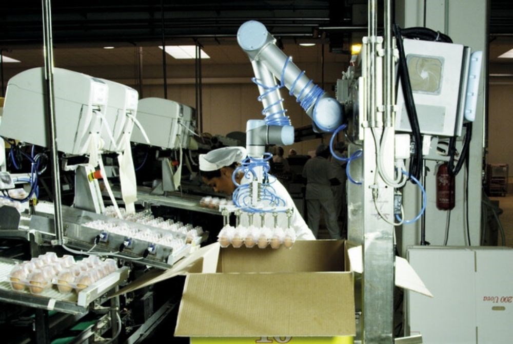 Scopri l'efficienza dei cobot per il packaging nel food